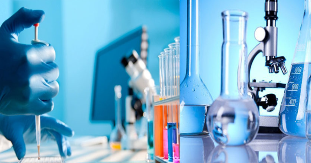 Microbiology Lab Equipment: Essential Tools