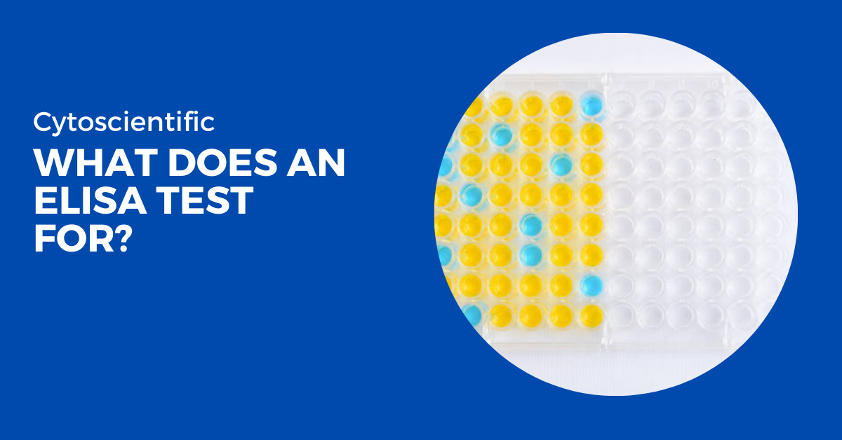 What Does an ELISA Test For?