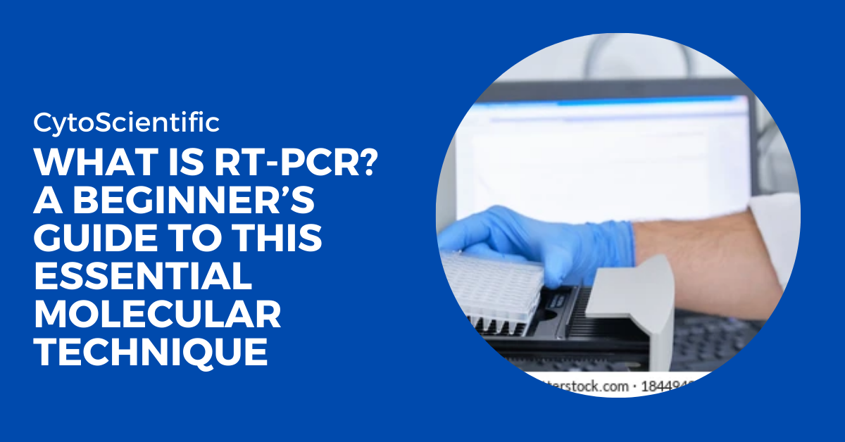 What is RT-PCR? A Beginner's Guide