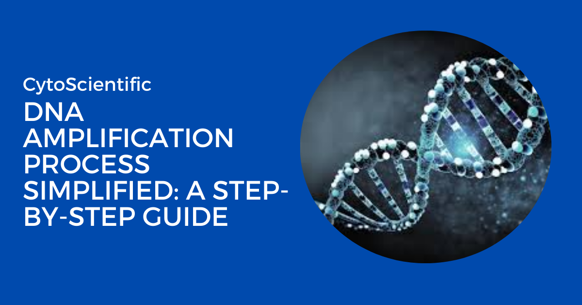 DNA Amplification Process Simplified: A Step-by-Step Guide