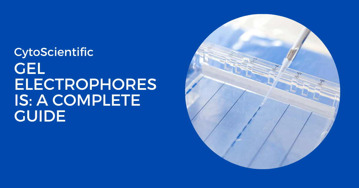 Gel Electrophoresis: A Complete Guide