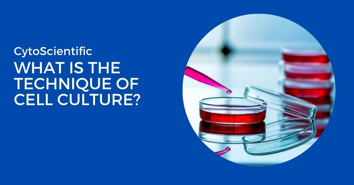 What is the technique of cell culture?